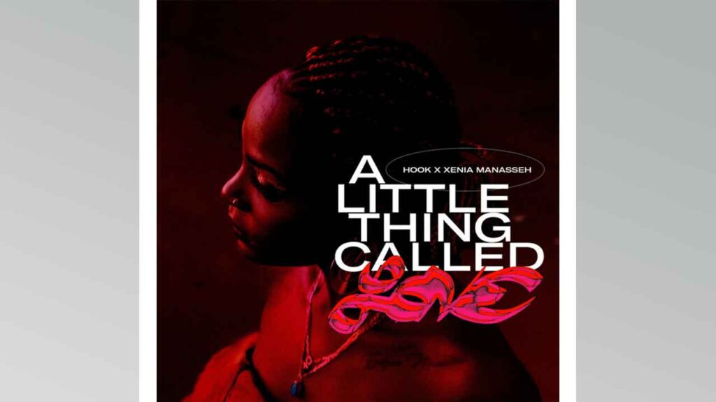 Hook & Xenia Manasseh - A Little Thing Called Love